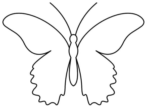 Scrapbooking et papillon - Gabarit papillon pour vos idées de bricolage ...