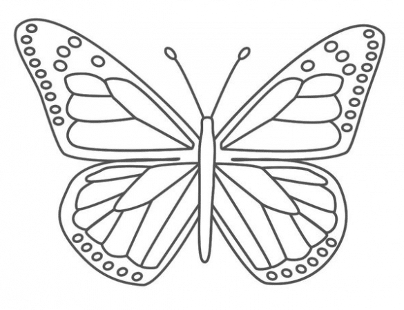 Scrapbooking et papillon - Gabarit papillon pour vos idées de bricolage ...